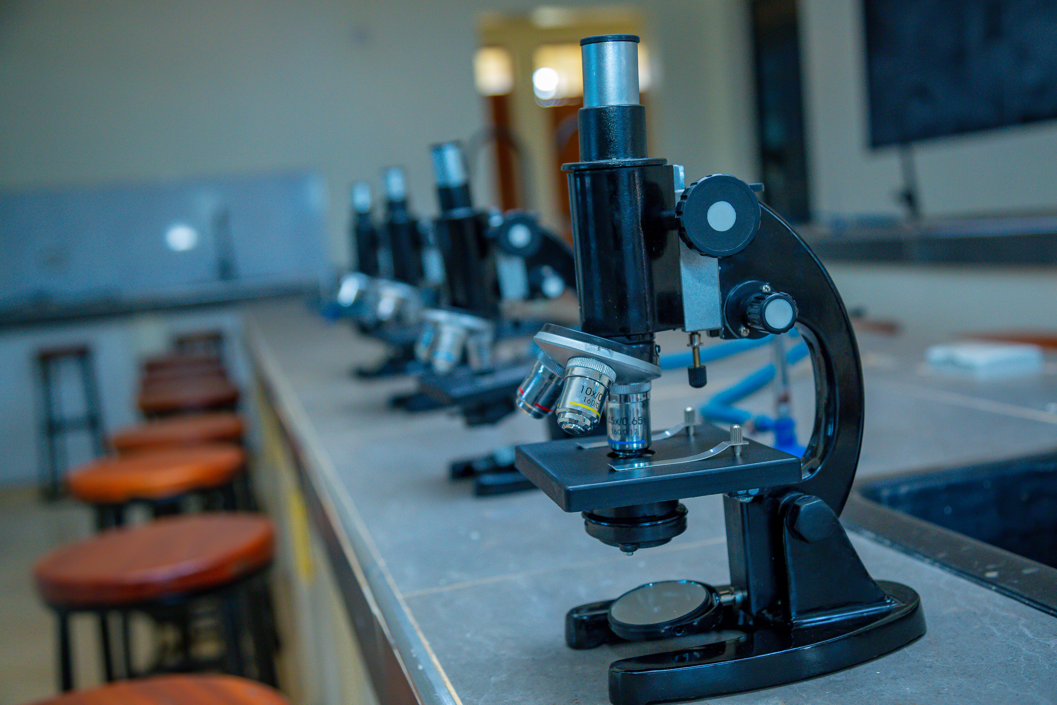 Hekima School Kisumu